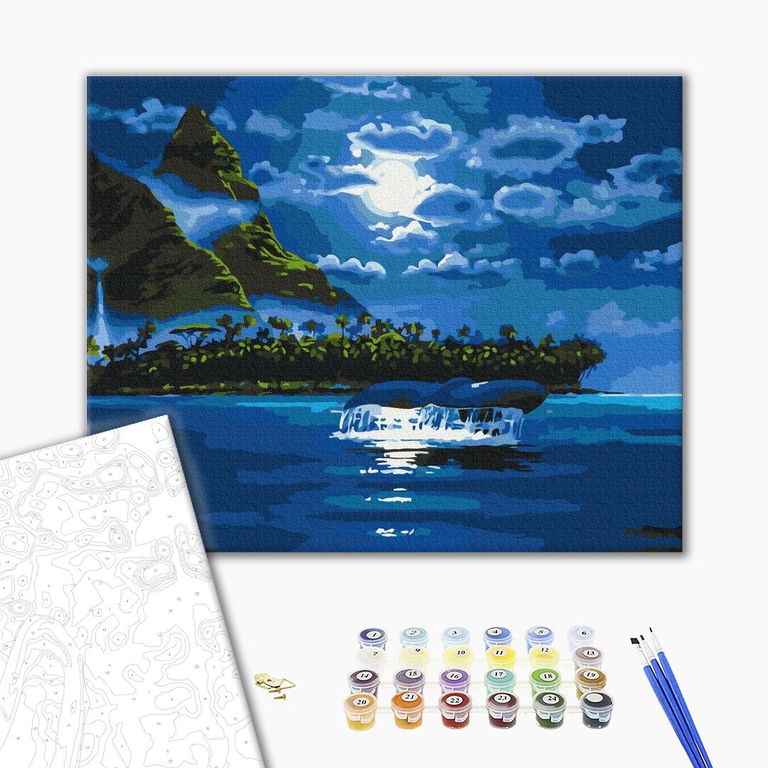 Paint by numbers Moonlight Night (BS33220)